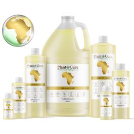 African Gold Fragrance Oil