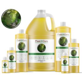 Rain Forest Fantasy Fragrance Oil