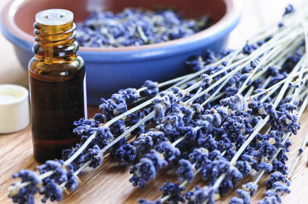 Common Mistakes To Avoid When Using Essential Oils Plant Guru
