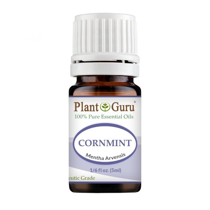 What is an Essential Oil? | Learning Center | Plant Guru
